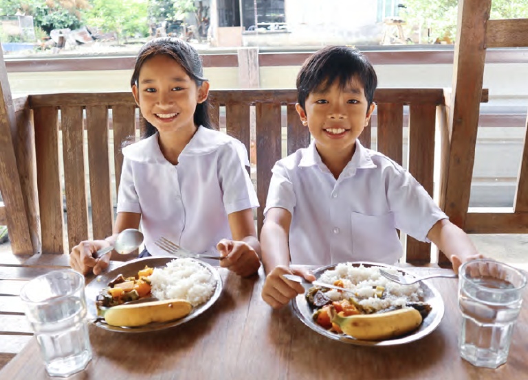 A RECIPE FOR SUCCESS: IMPLEMENTING IRON-FORTIFIED RICE IN THE ...