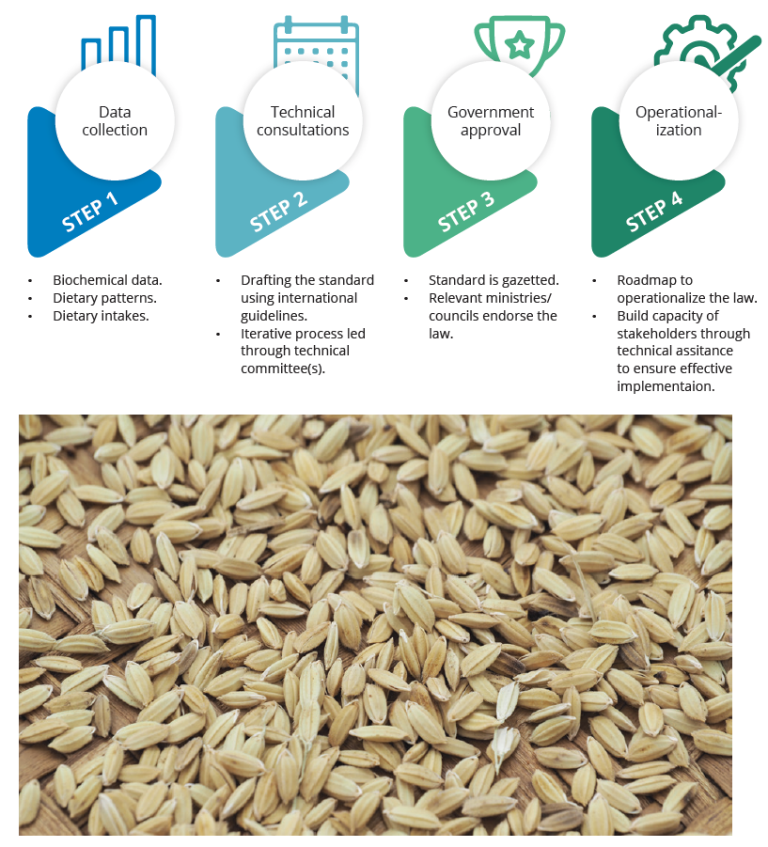WORLD FOOD PROGRAMME - A GUIDE TO SETTINGUP RICE FORTIFICATION ...